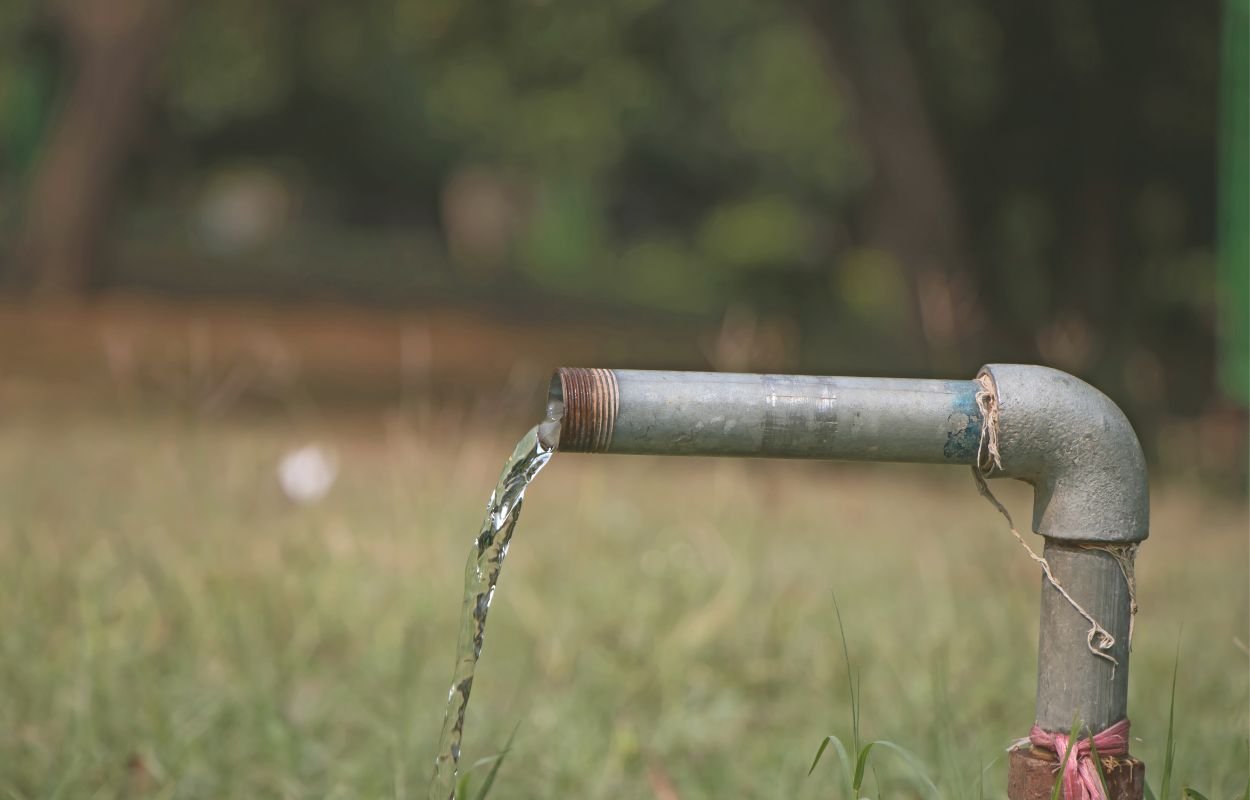 Choosing the Right Lead Abatement Professional: What Qualifications to ...